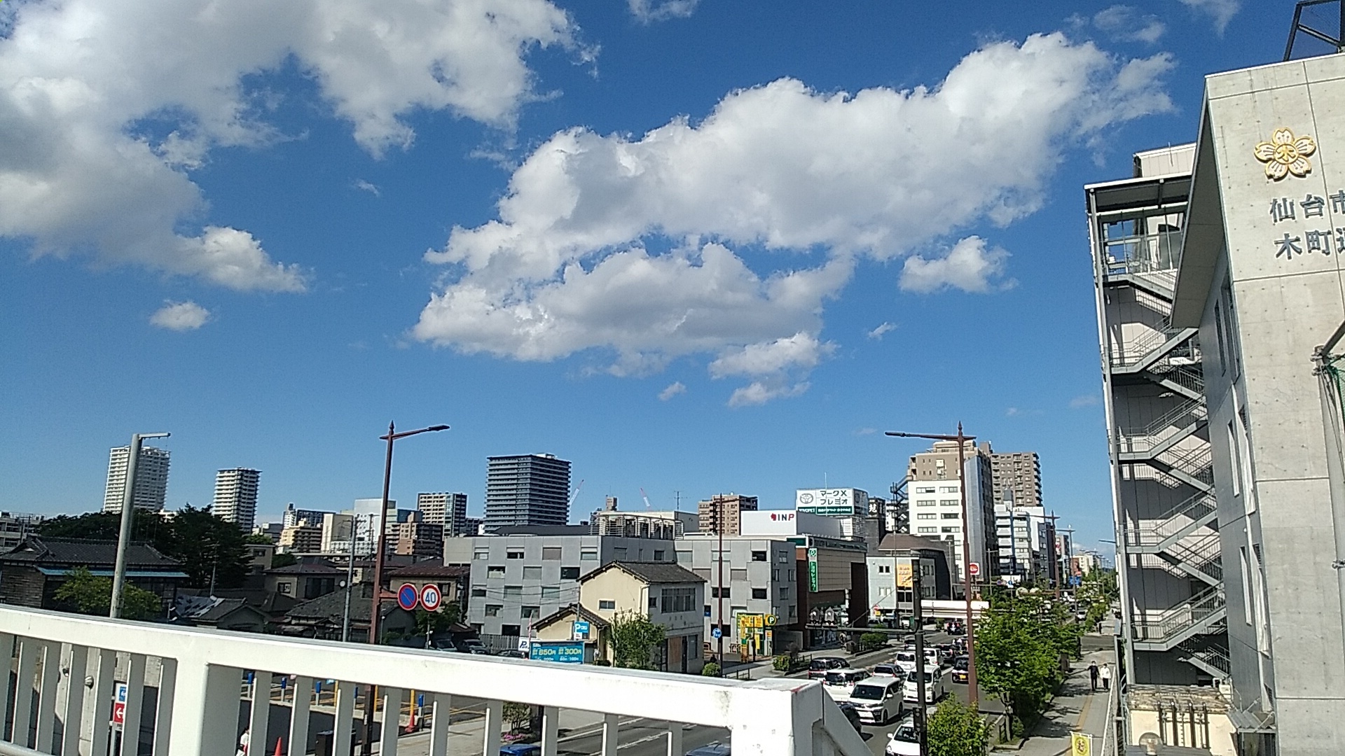 雑文 心拍数20億回で哺乳類は終わる: 麦の雨