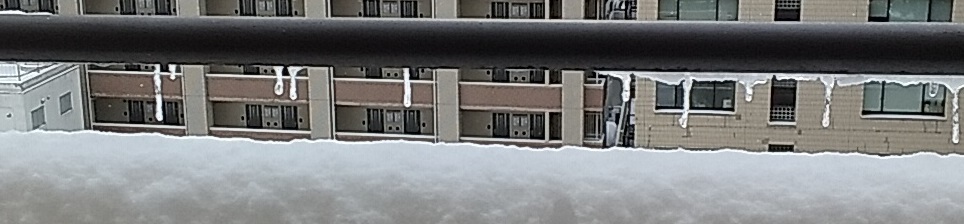 今日は終日氷点下 介護タクシーで: 麦の雨